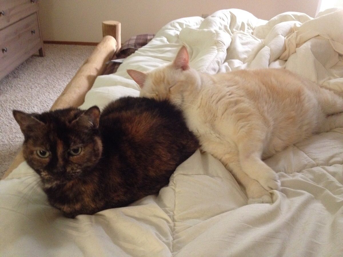 You're being far too familiar. Stop touching me. | Scrolller