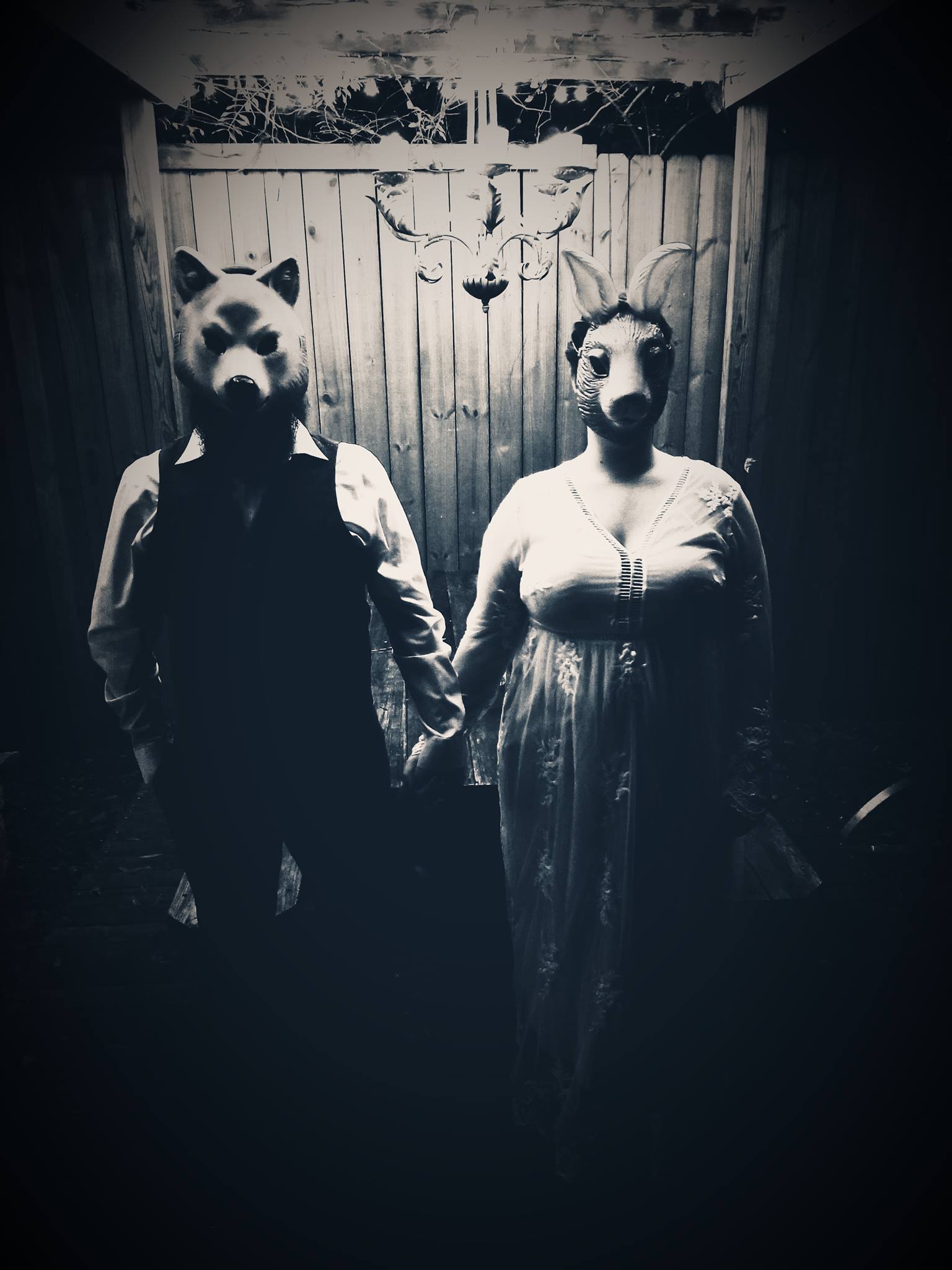 You're Next | Scrolller