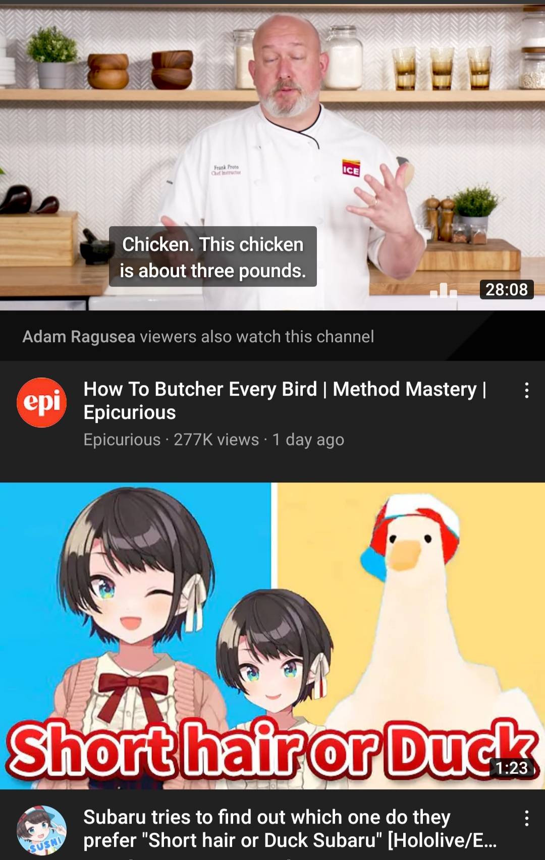 YouTube-kun Algorithm at its finest | Scrolller