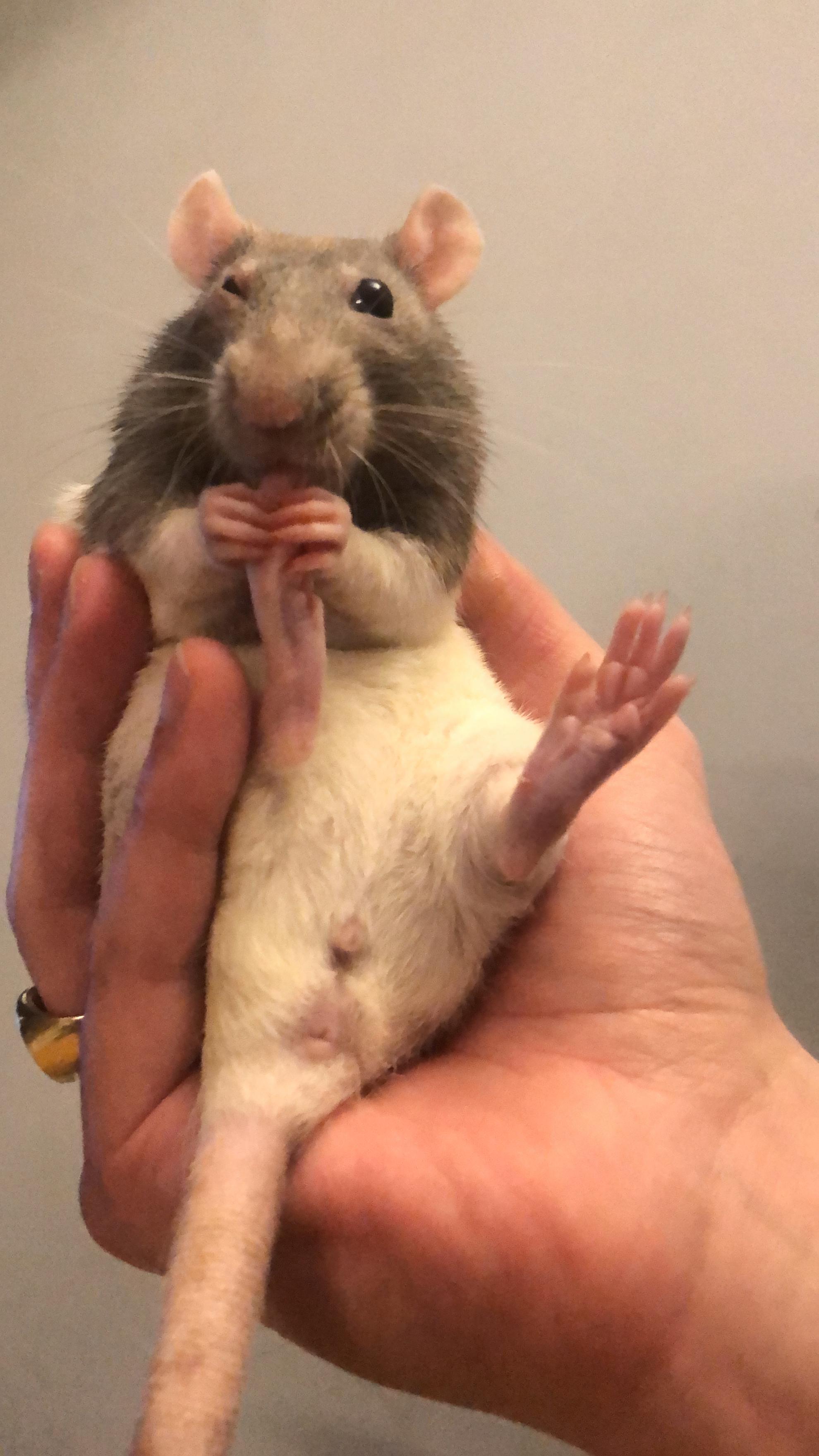 Yummy Feet 🥰 Scrolller