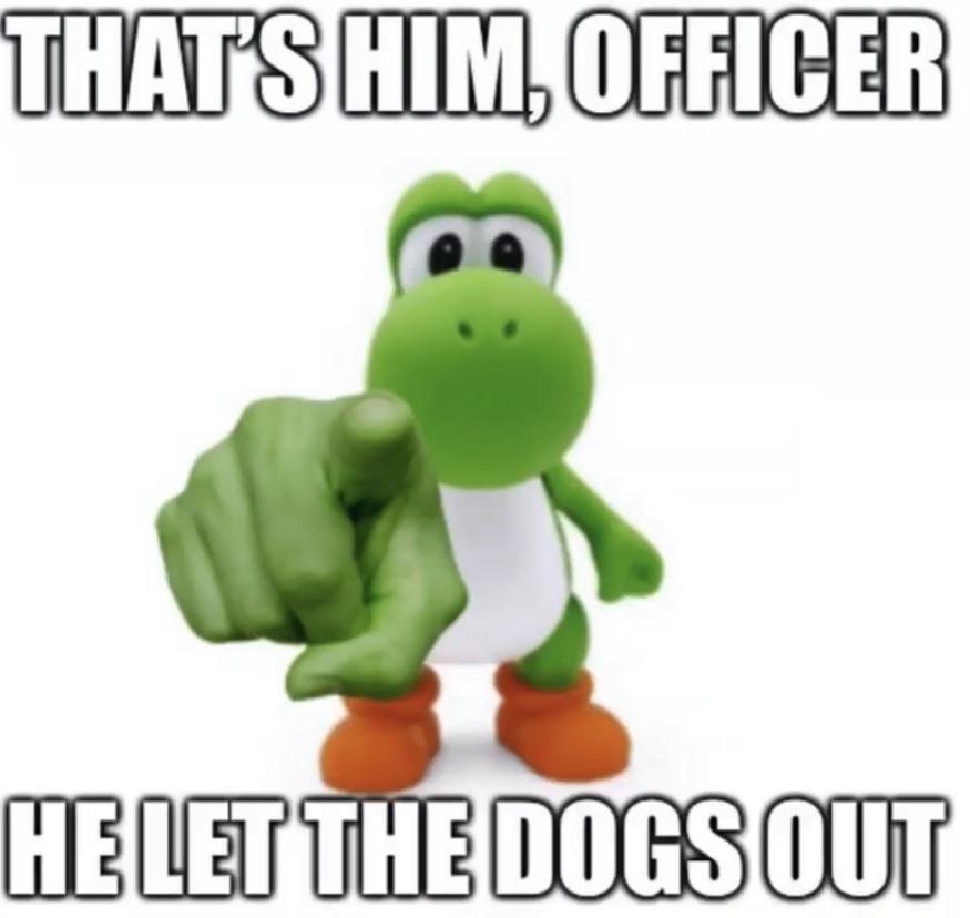 Yup, that's the guy. | Scrolller