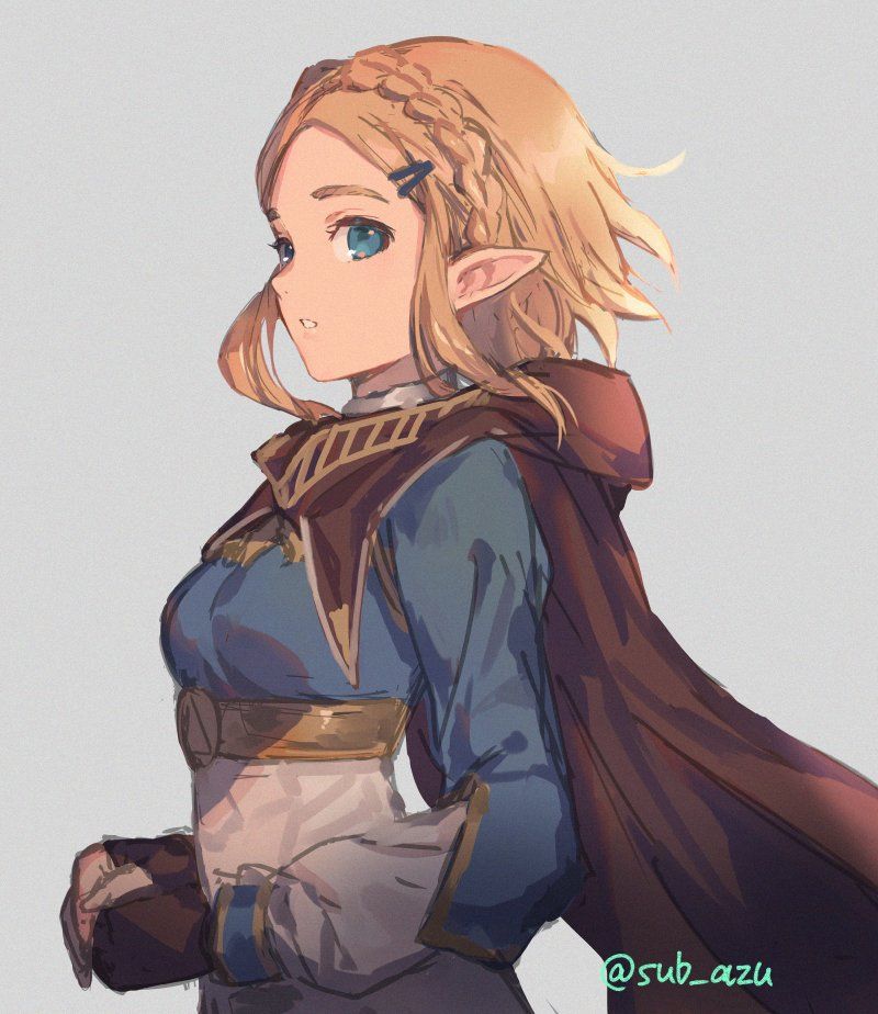 Zelda [Breath of the Wild Sequel] | Scrolller