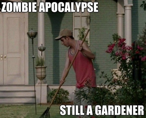 zombie apocalypse | Scrolller