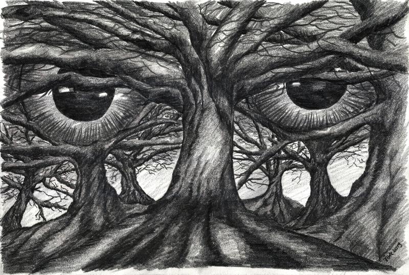 0325 The forest has eyes, by Thomas Greiner-Mai | Scrolller