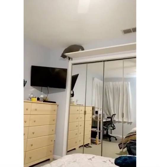 1, 2, 3, sneak attack! | Scrolller