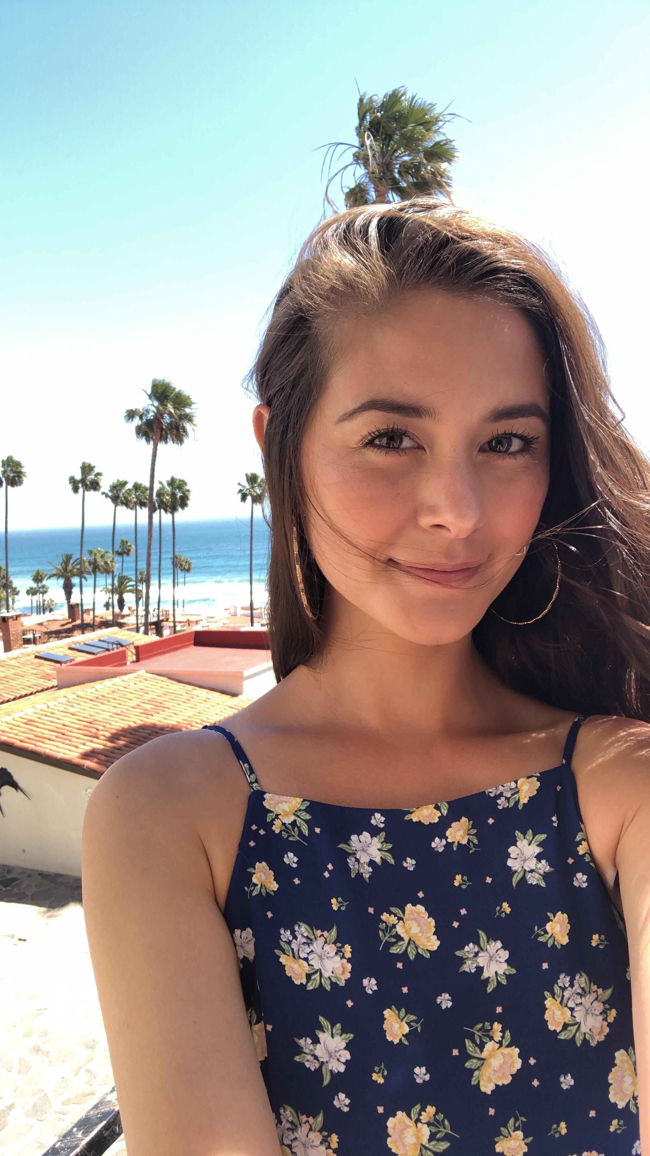 1/2 Japanese, 1/2 Caucasian Mutt | Scrolller