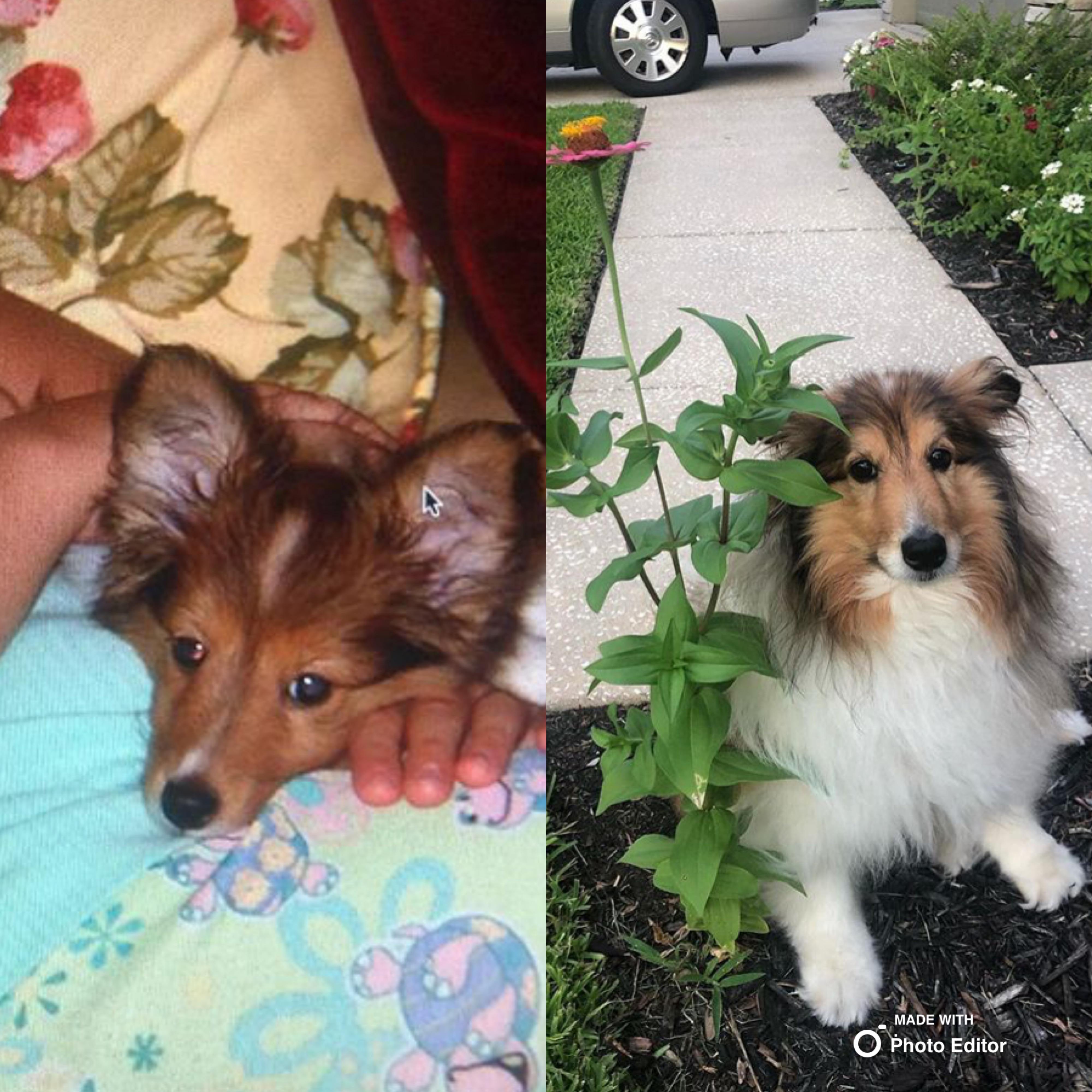 10 years difference 💚2lbs-32lbs | Scrolller