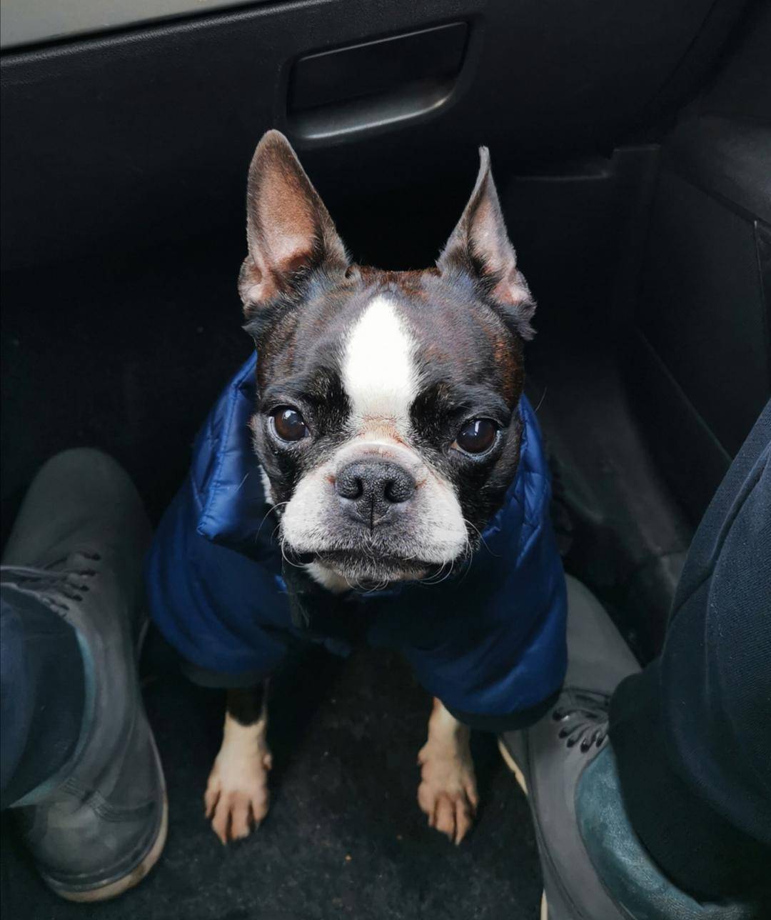 11y old lady with her cool jacket. | Scrolller