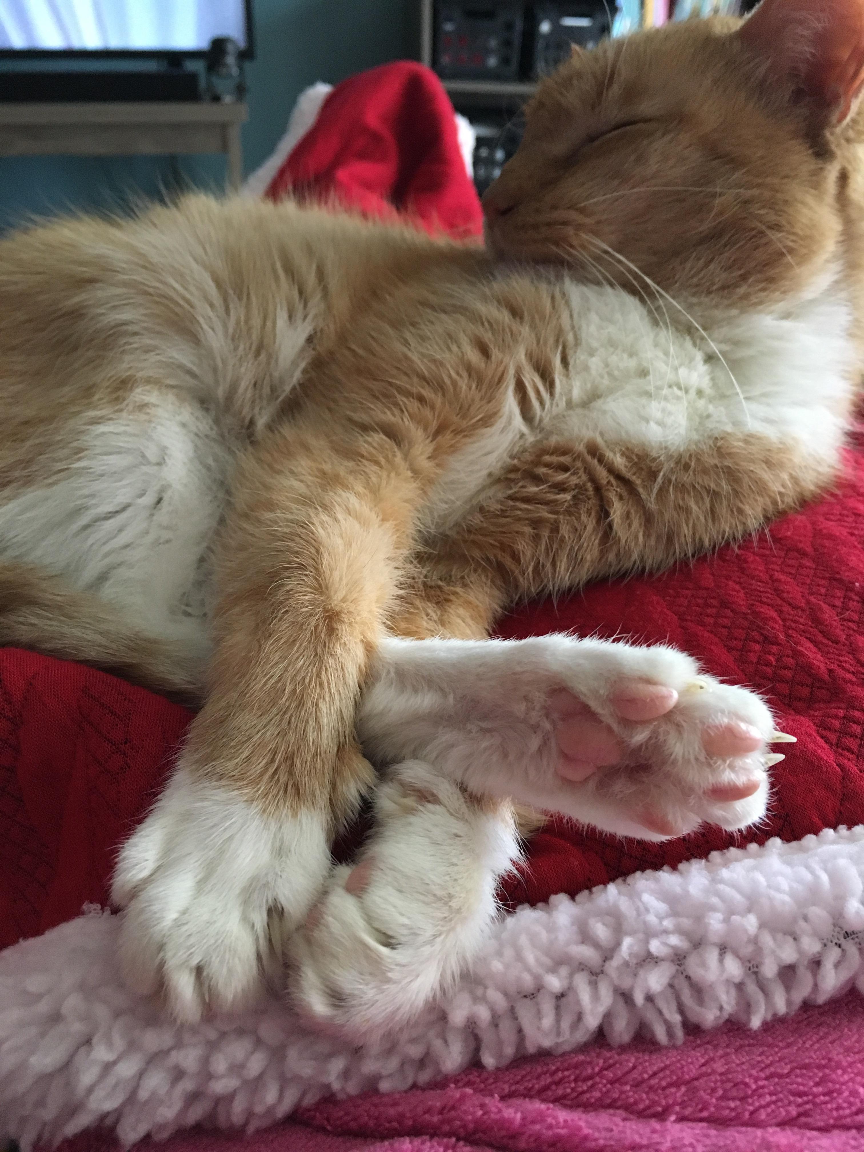 16 year old toebeans | Scrolller