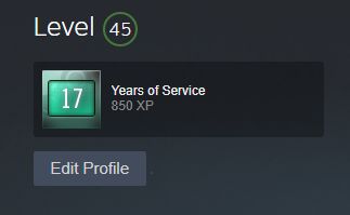 17 Years of Service Badge | Scrolller
