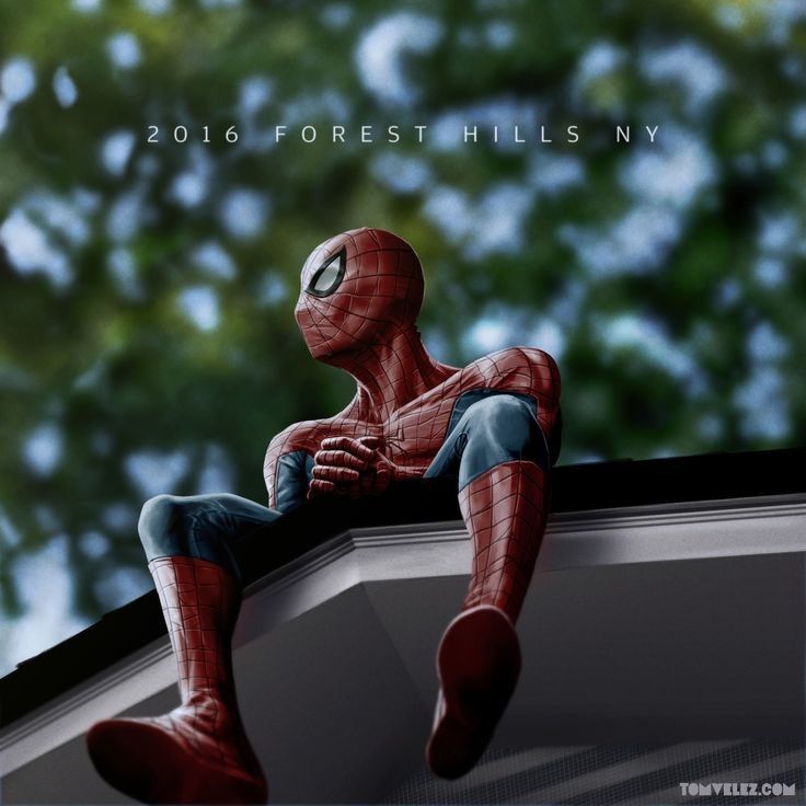 2014 Spiderman Web | Scrolller