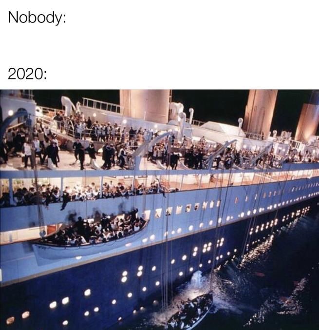 2020 in a nutshell | Scrolller