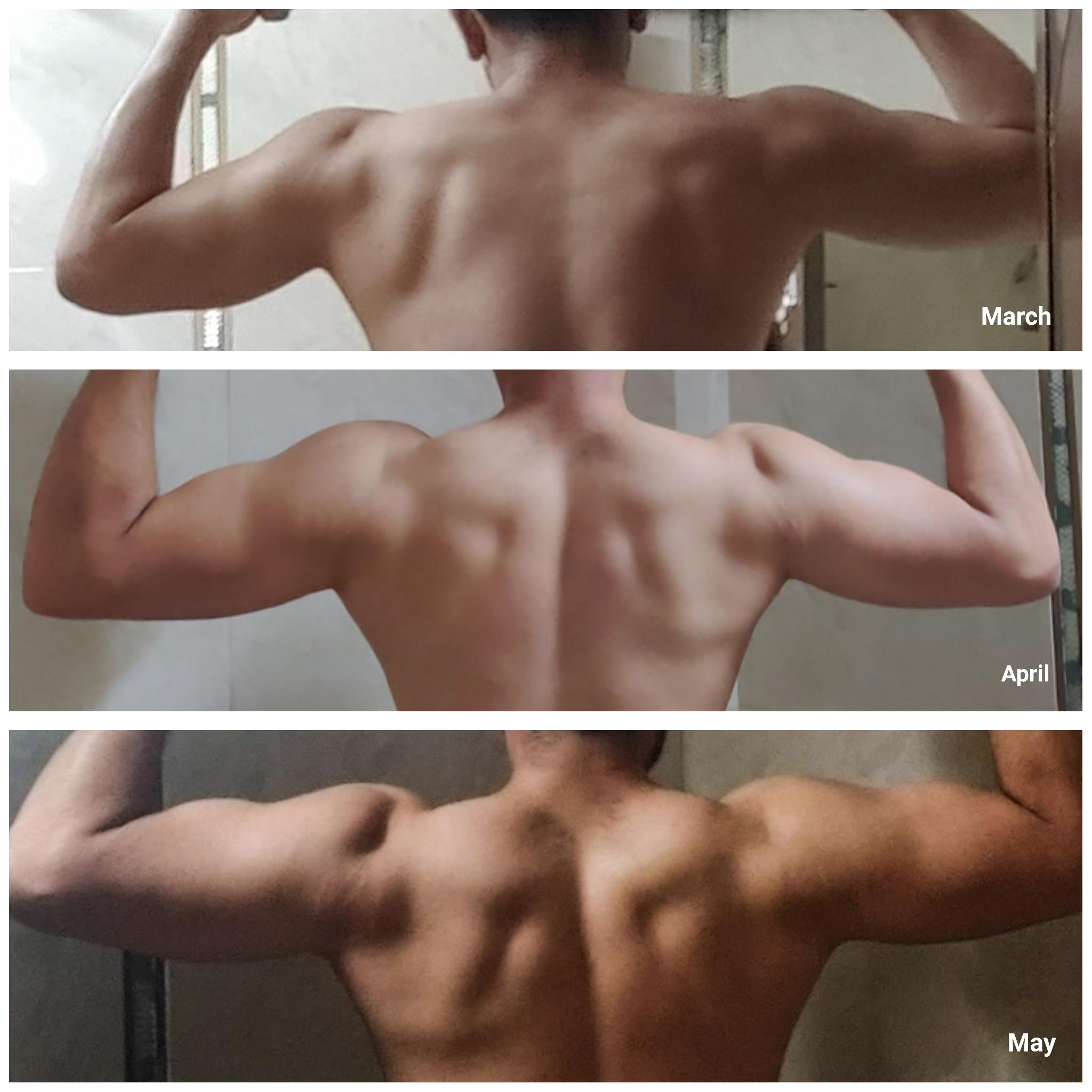 3 months progress | Scrolller