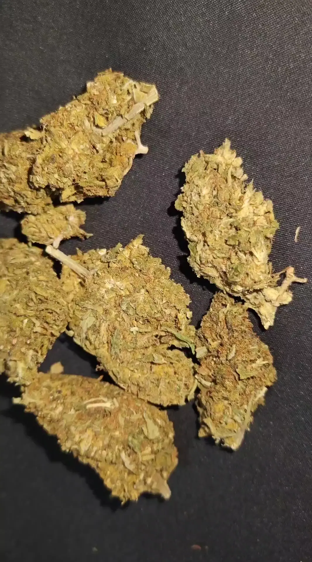 4 USD in the Caribbean | Scrolller