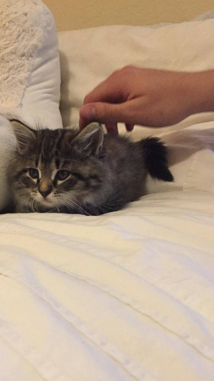 4 week old loaf | Scrolller