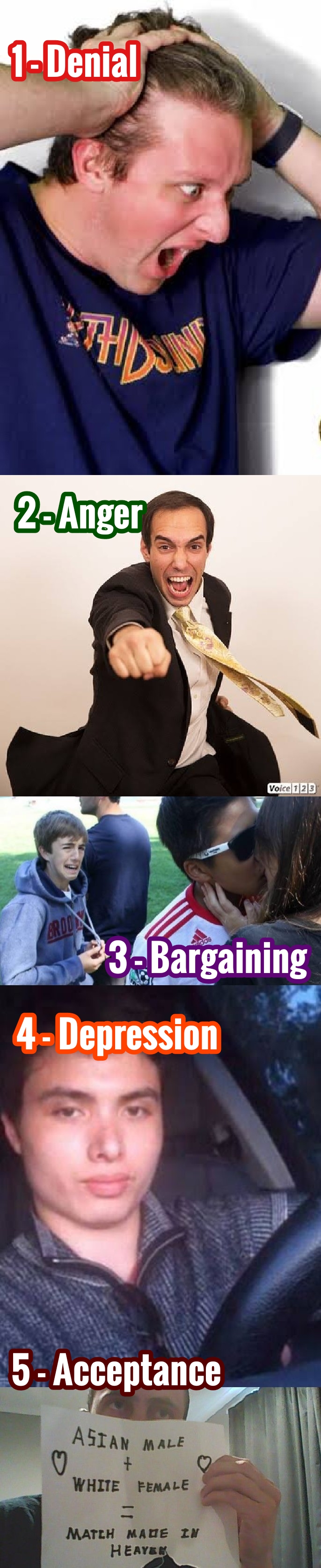 5 stage of pinkrat's grief | Scrolller