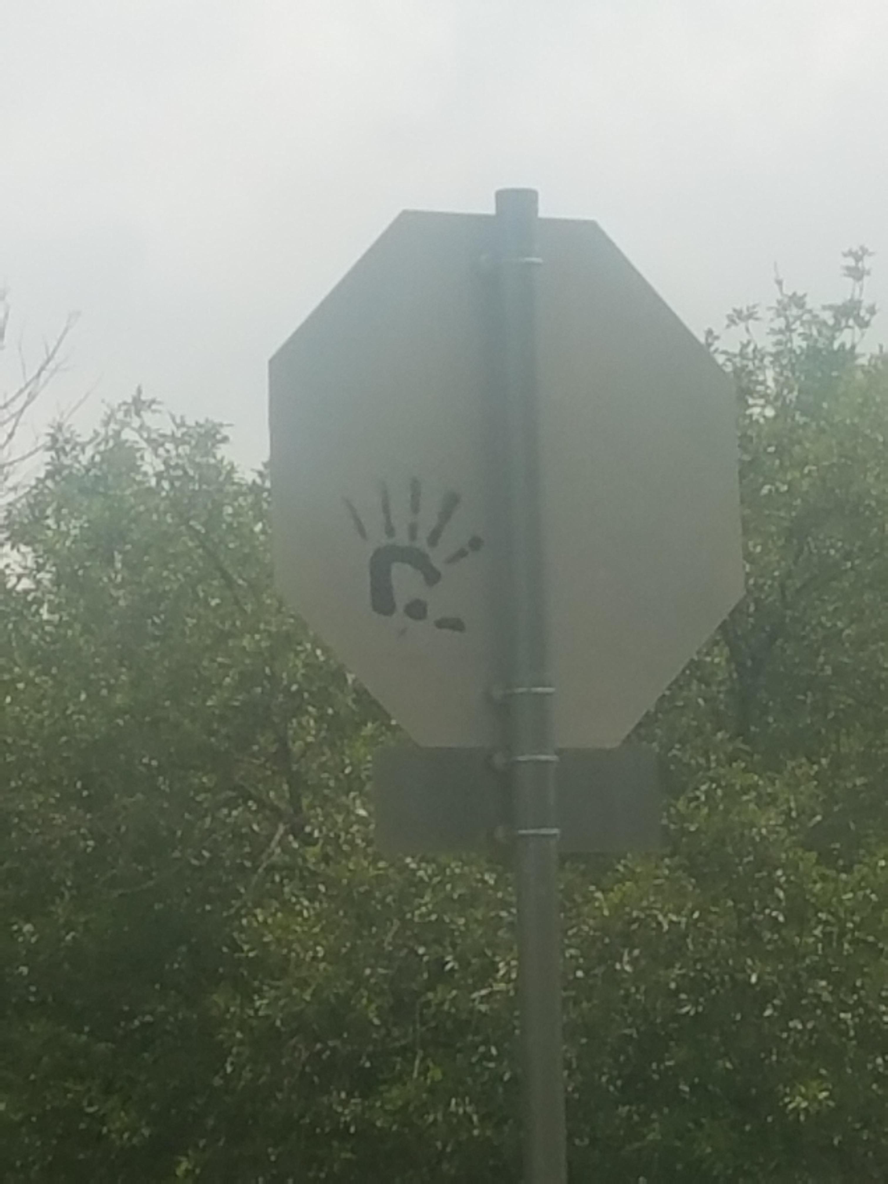 6 fingered handprints posted all over town | Scrolller