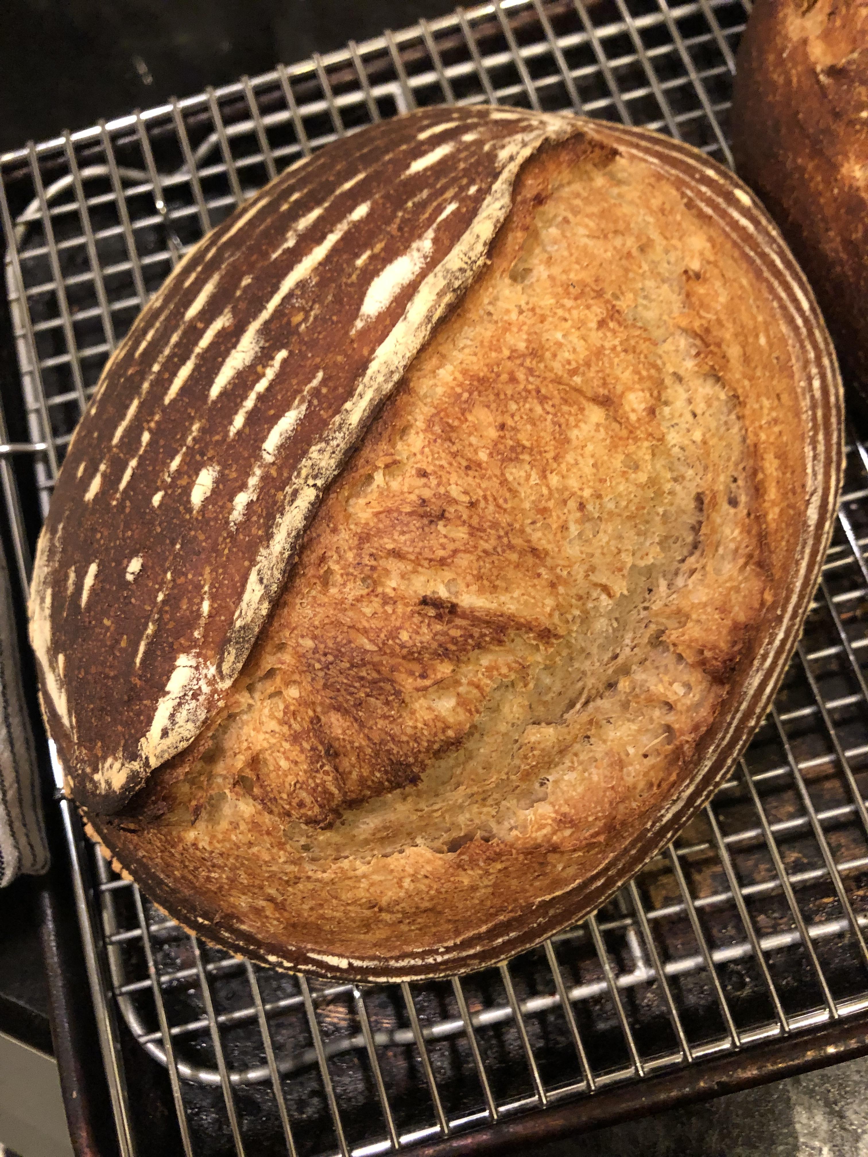 70% hydration Rye Sour | Scrolller