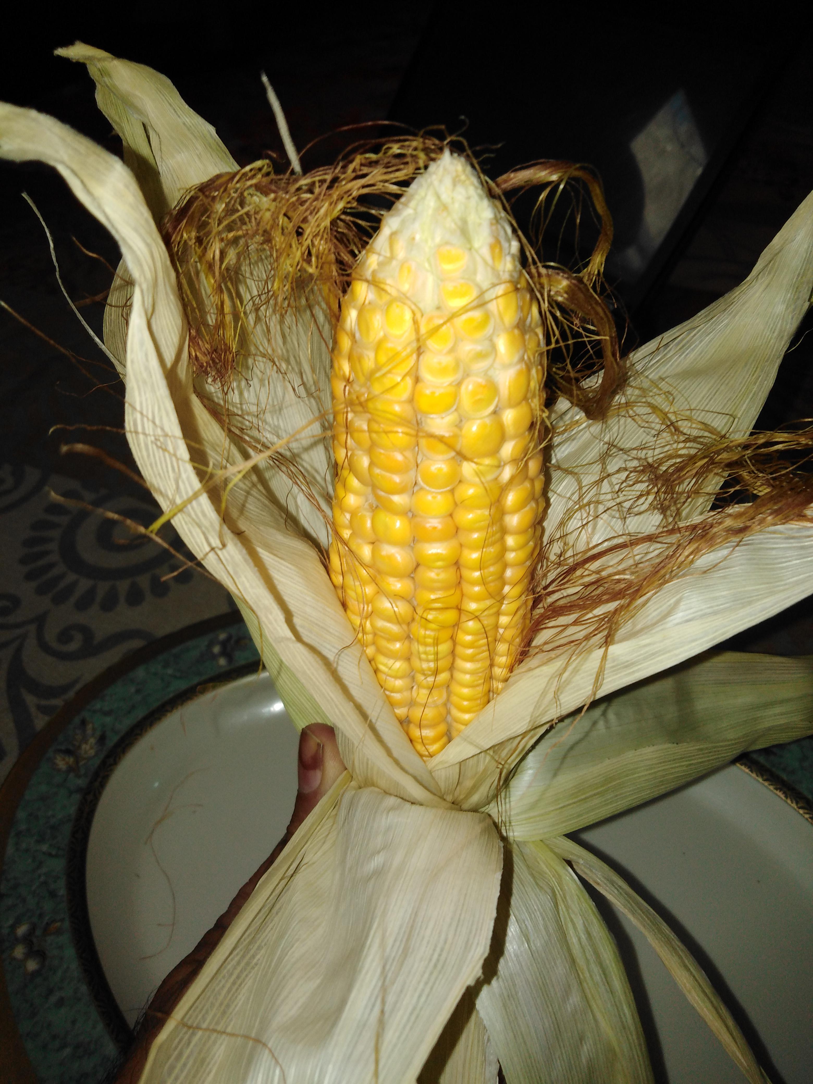 A beautufull Sweet Corn avaible just in 5 rupees in Pakistan. | Scrolller