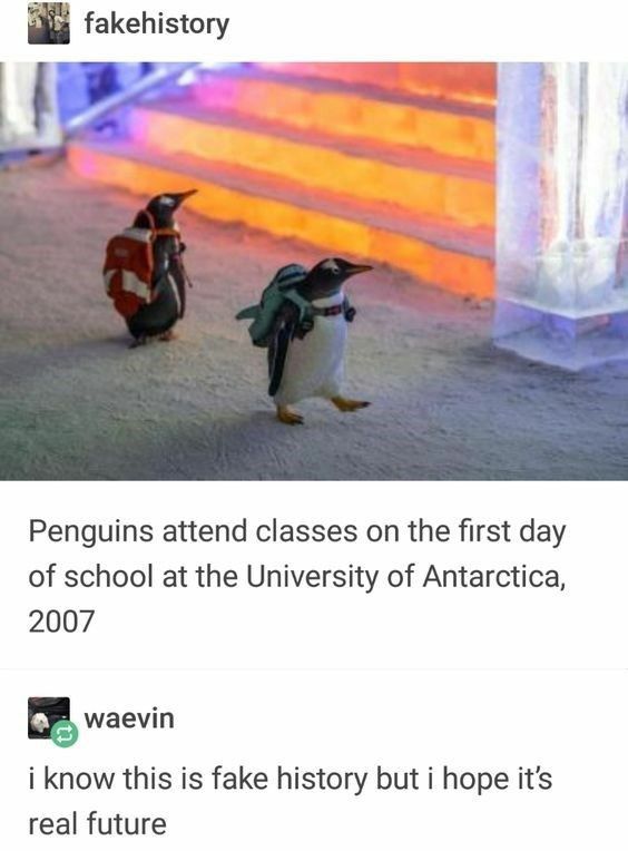 A better timeline | Scrolller