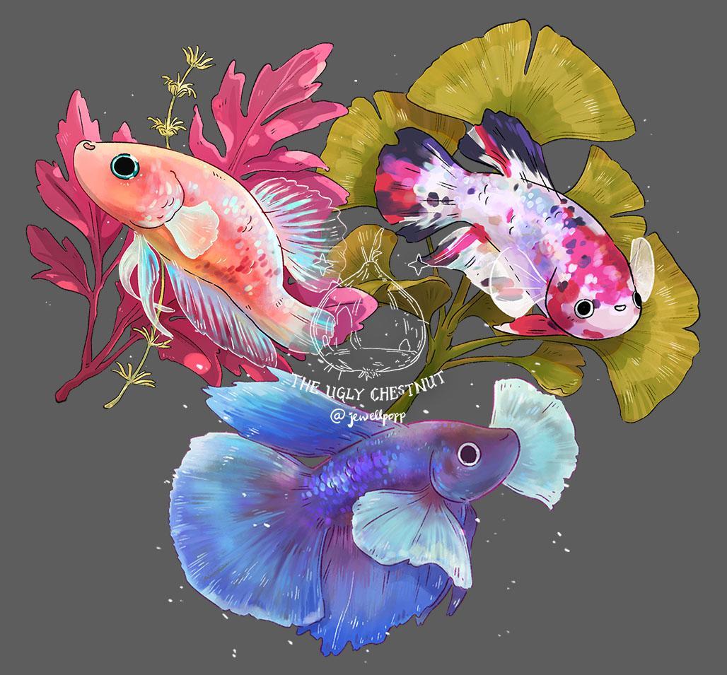 A compilation of my proudest betta work | Scrolller