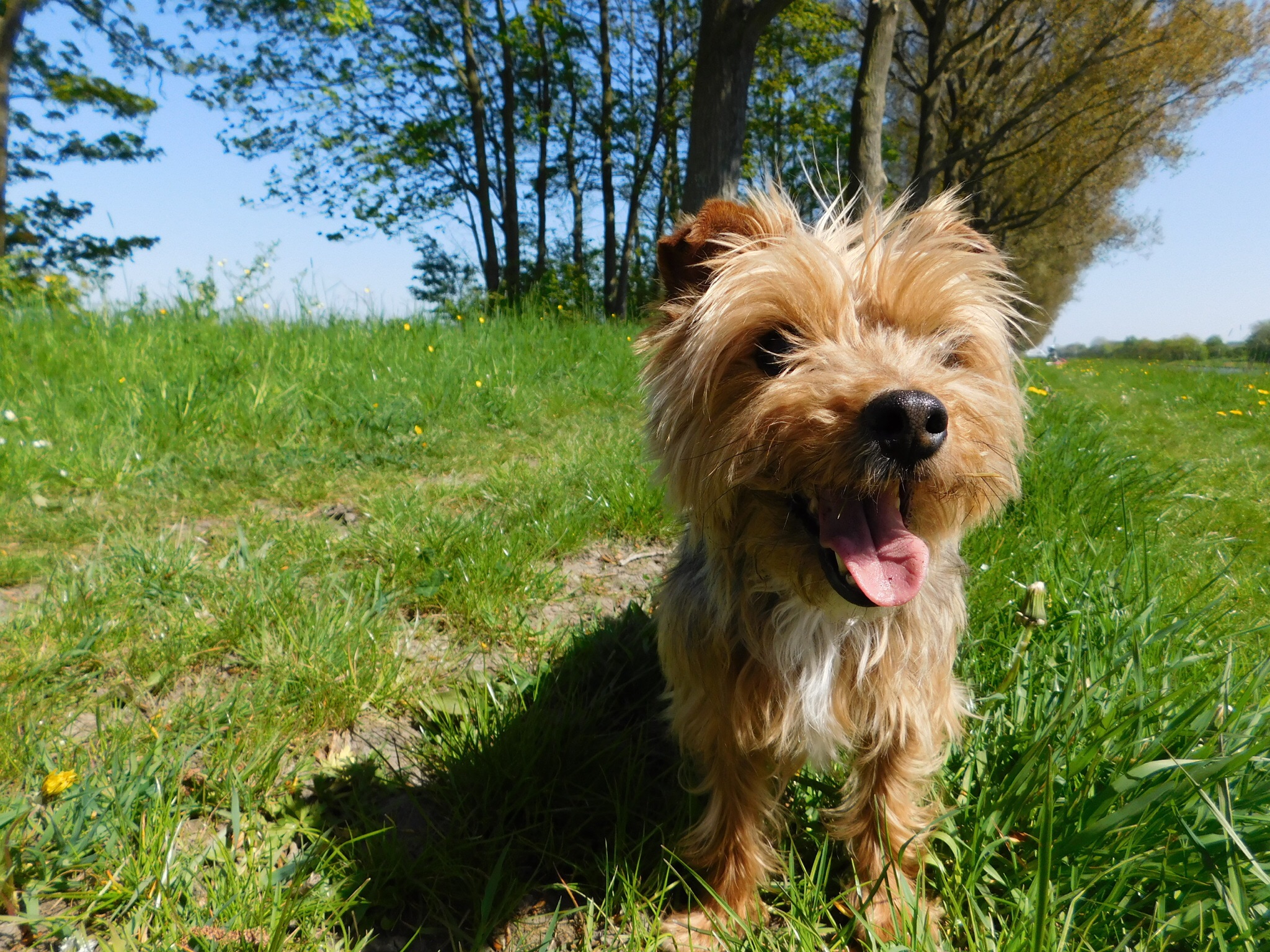 A cute stranger I met by a river | Scrolller