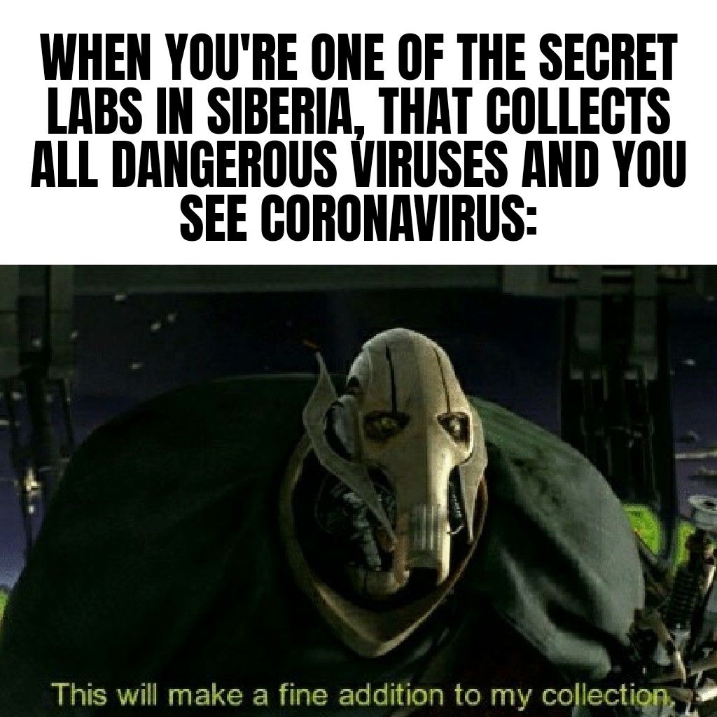 A fine addition | Scrolller