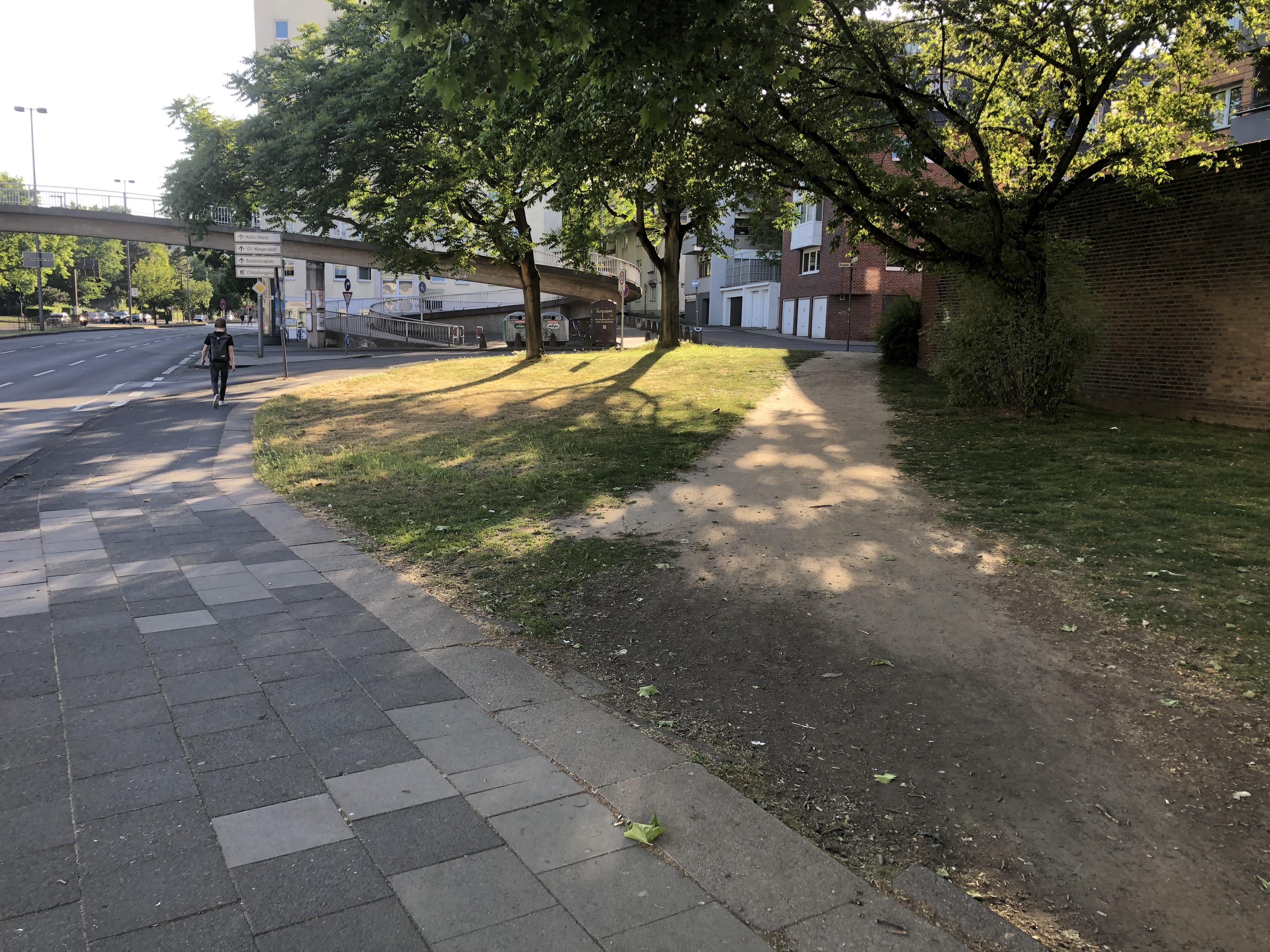 A full grown desire path | Scrolller