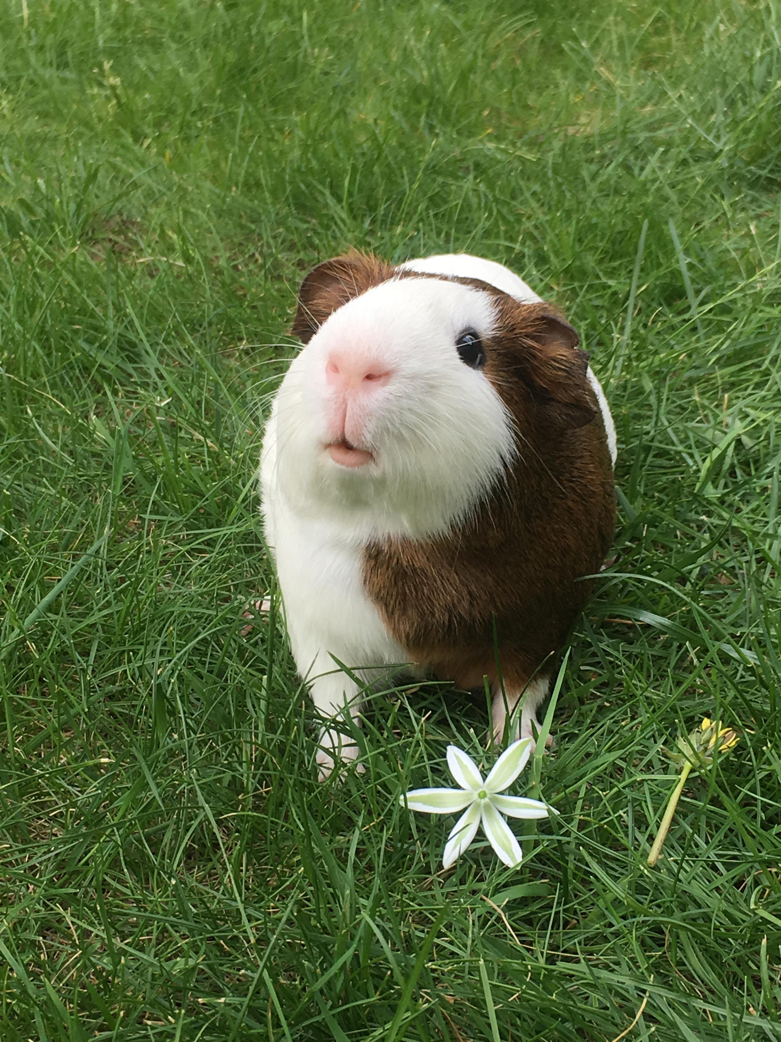 a goober caught on camera | Scrolller