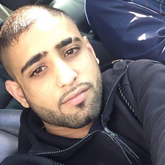 A handsome one | Scrolller