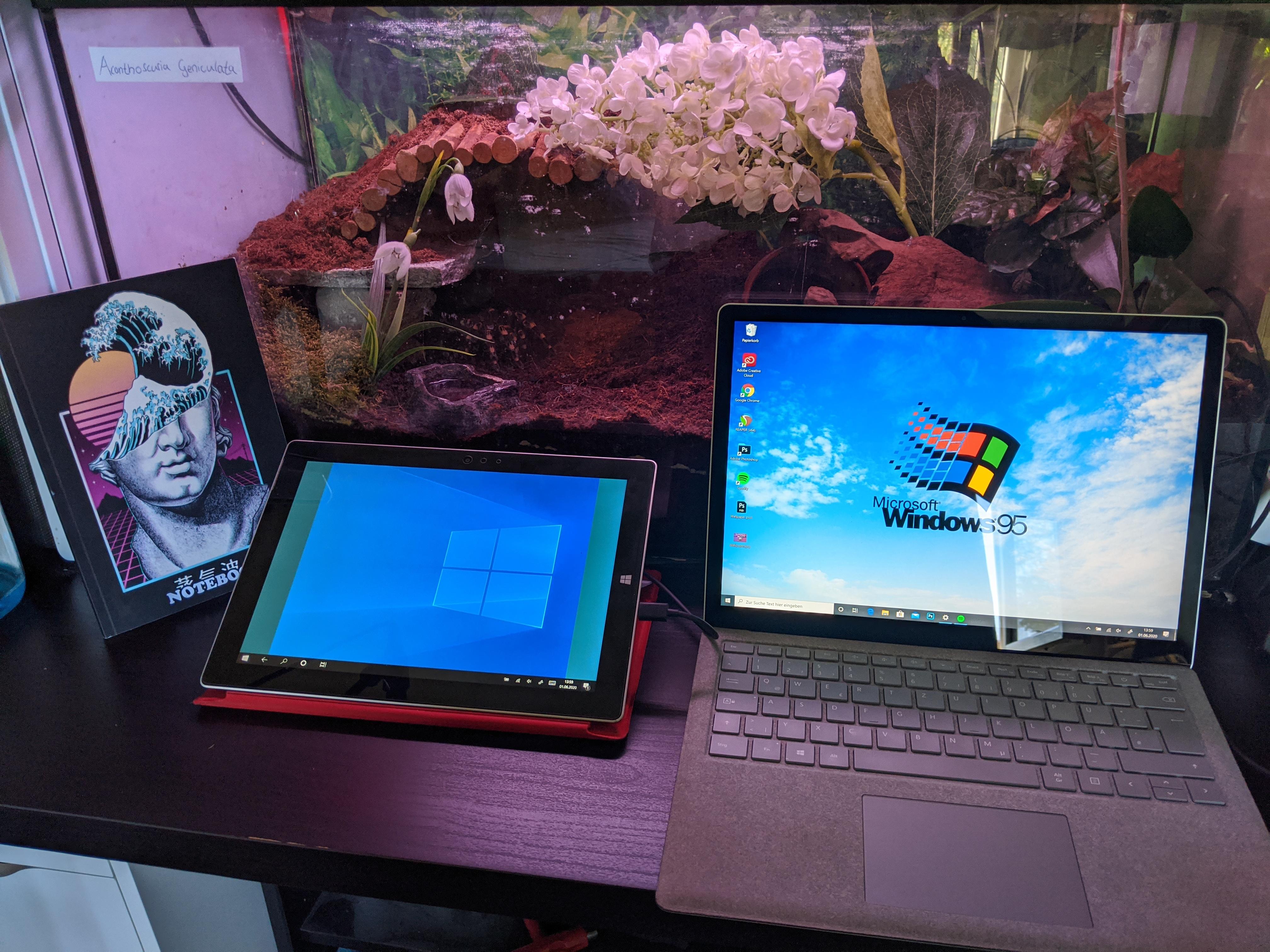 A happy surface family | Scrolller