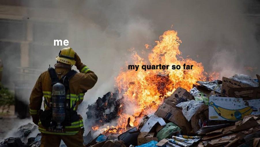 a literal dumpster fire | Scrolller