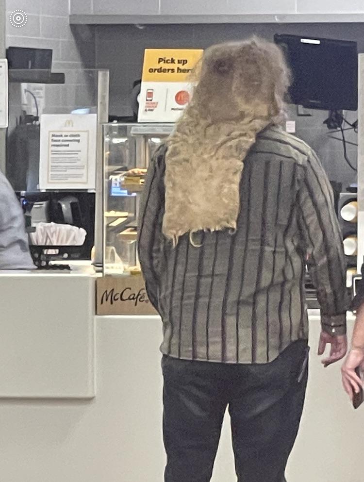 A mate spotted this polish plait at our local Walmart. He said the smell was considerable ...