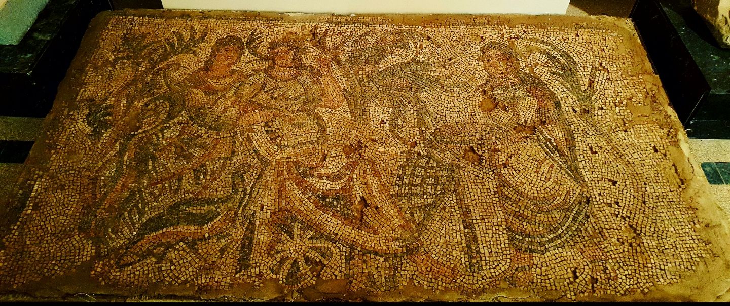 A mosaic in the Tire Archaeological Museum. | Scrolller