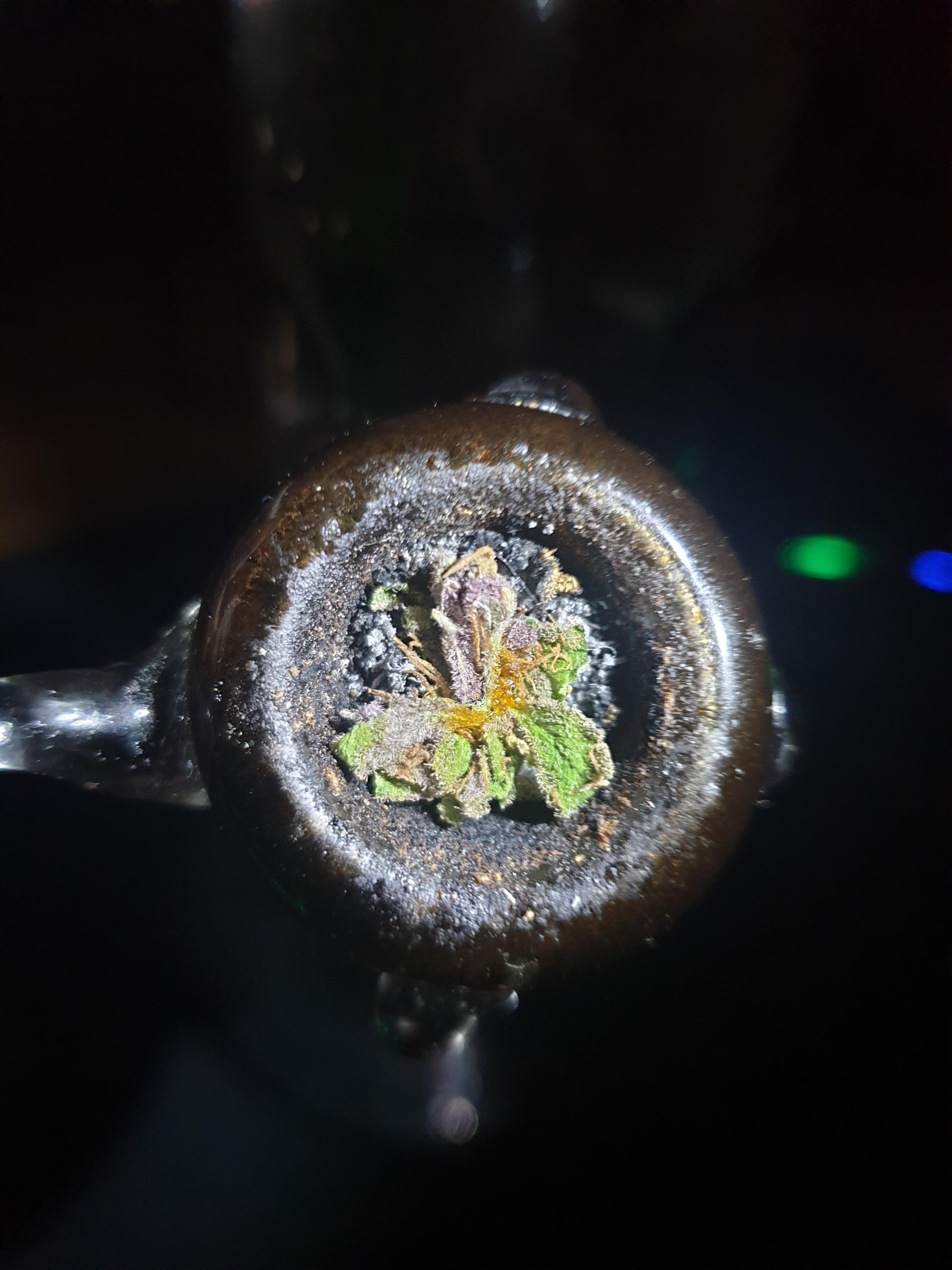 A nice bong,purple punch i believe and some shatter | Scrolller