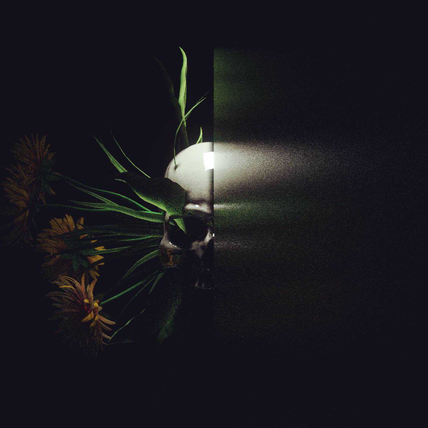 A quick render | Scrolller