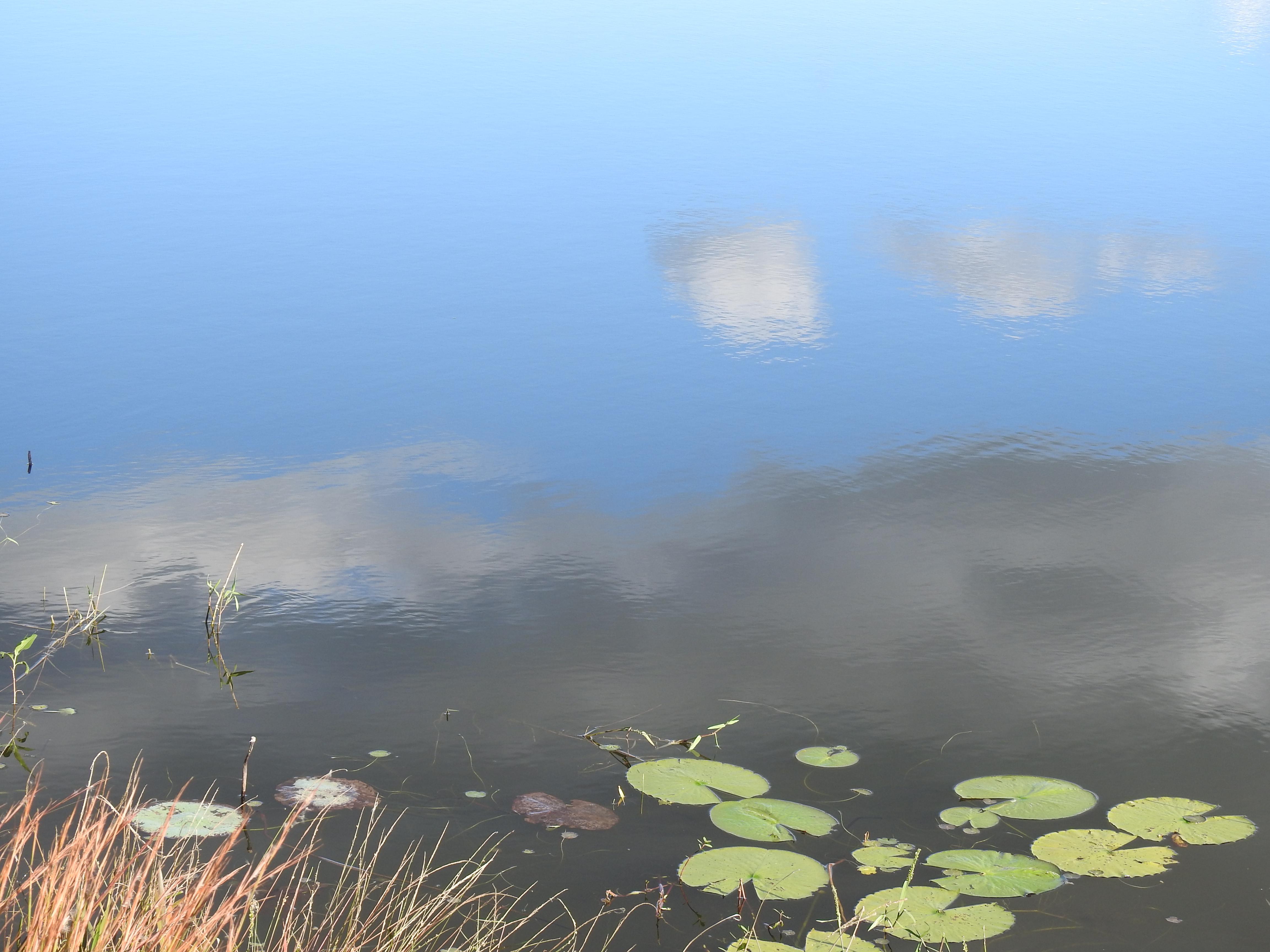 A Quiet Corner, November Afternoon | Scrolller