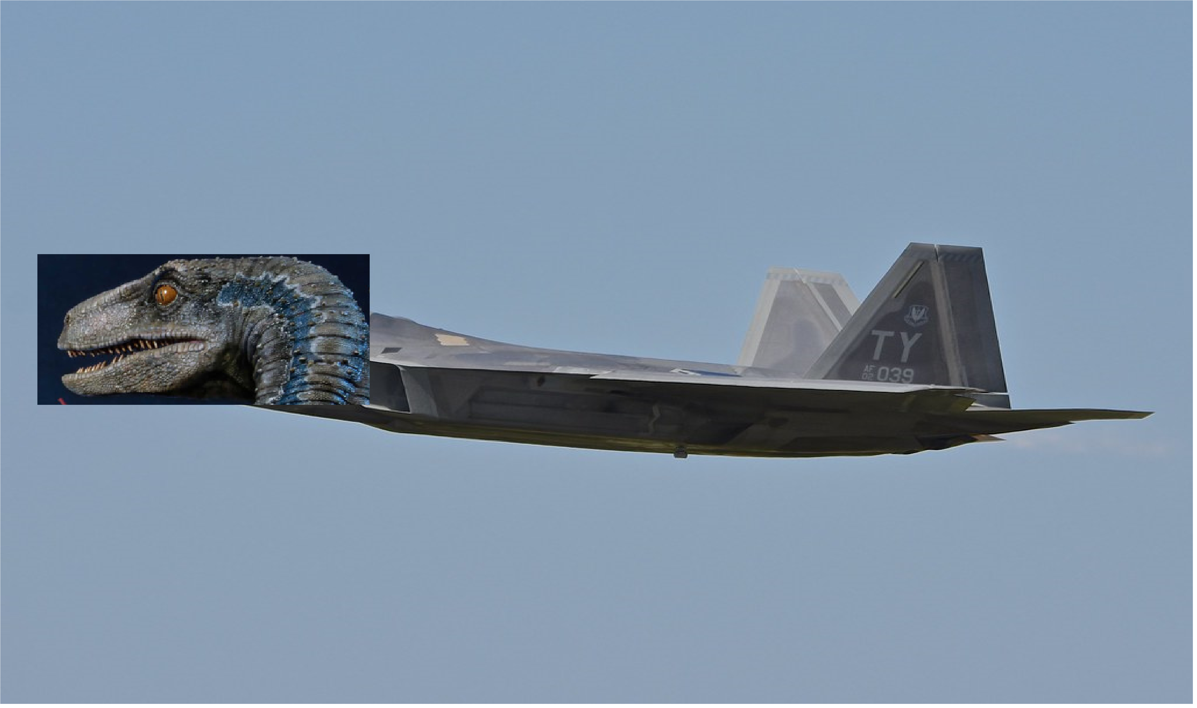 A raptor on a raptor | Scrolller