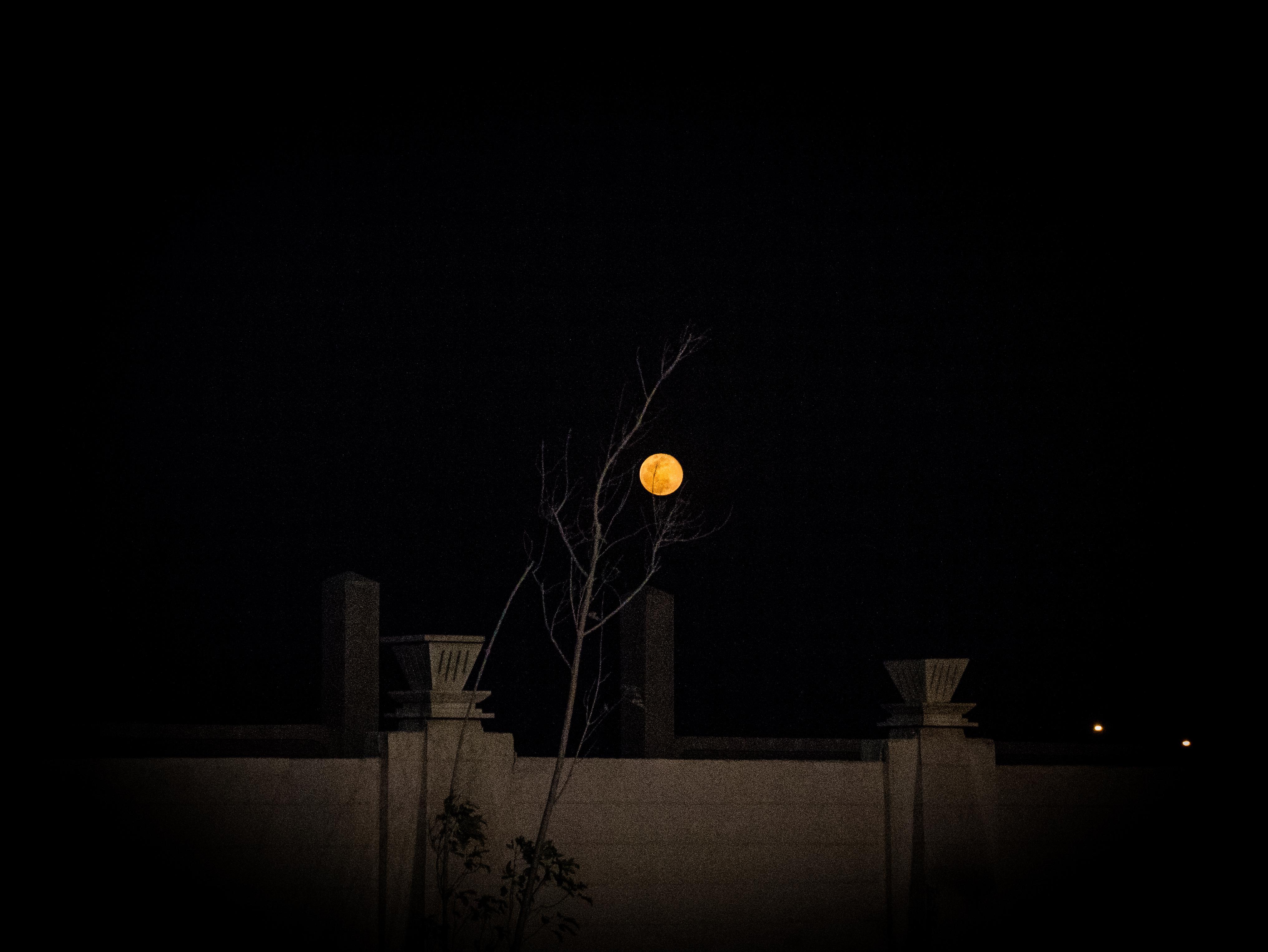 A Rising Moon from my boarding school. | Scrolller