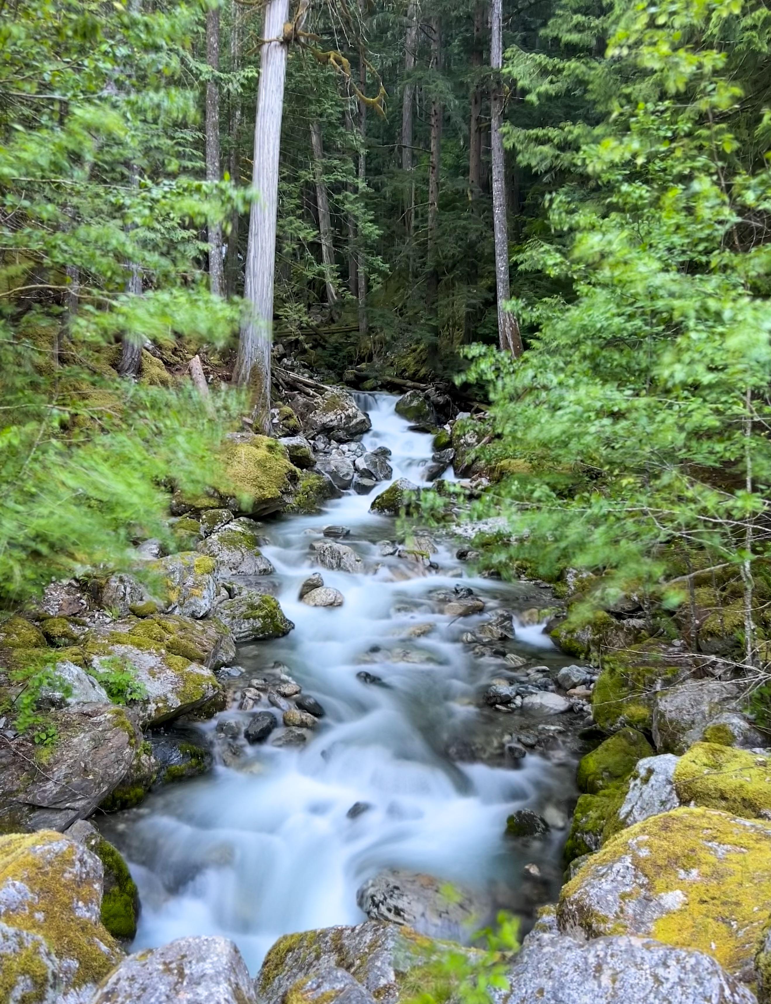 A roadside creek in the North Cascades, WA [OC] 2500x2009 | Scrolller