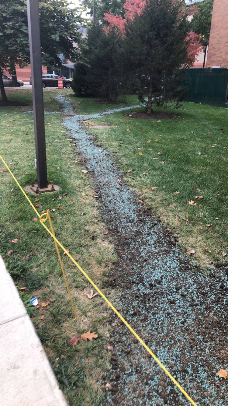 A sad day for a great path | Scrolller