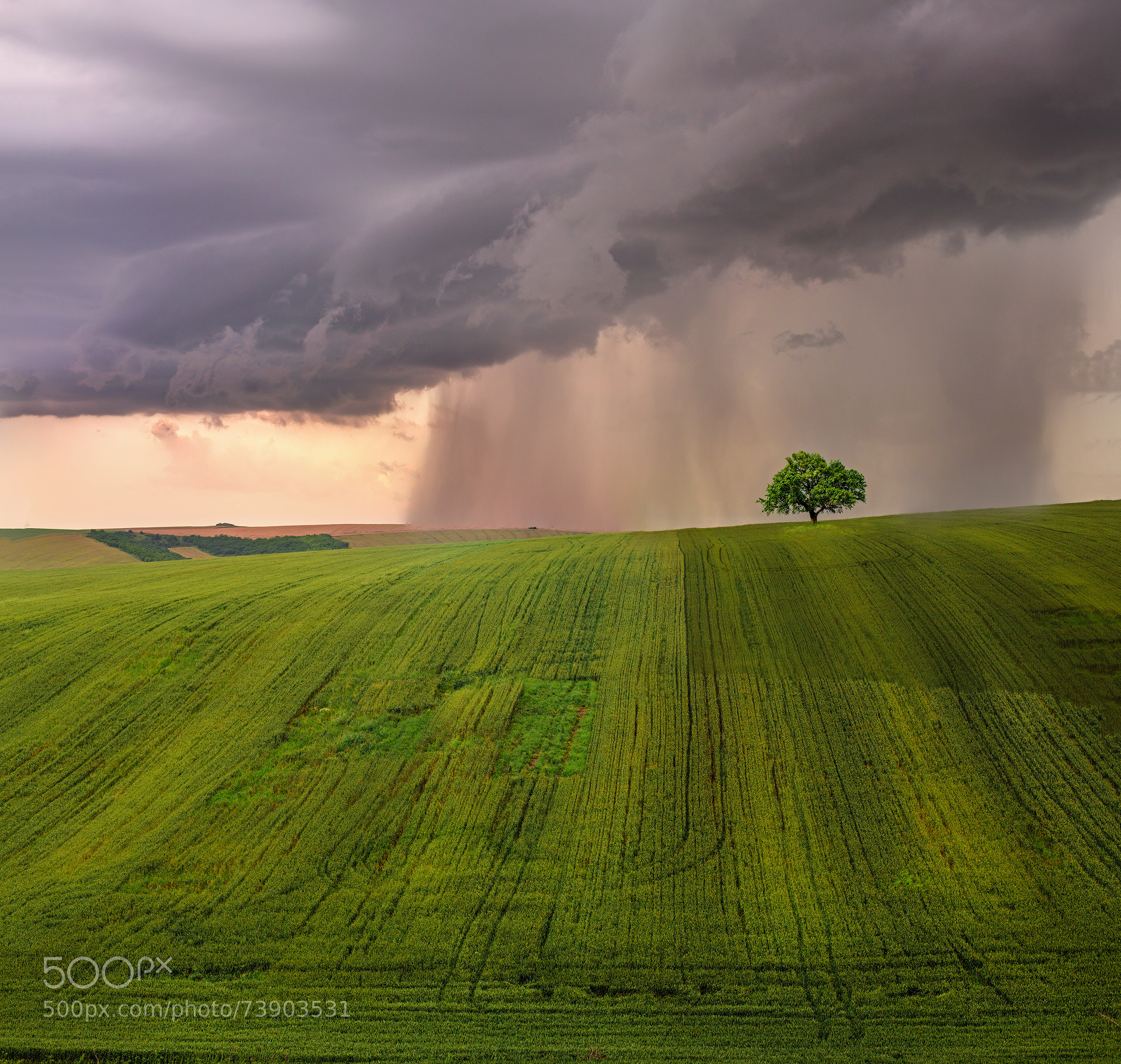 A small storm cell in a field (unknown location) [1920 x 1821] by Ted Bozhkov | Scrolller