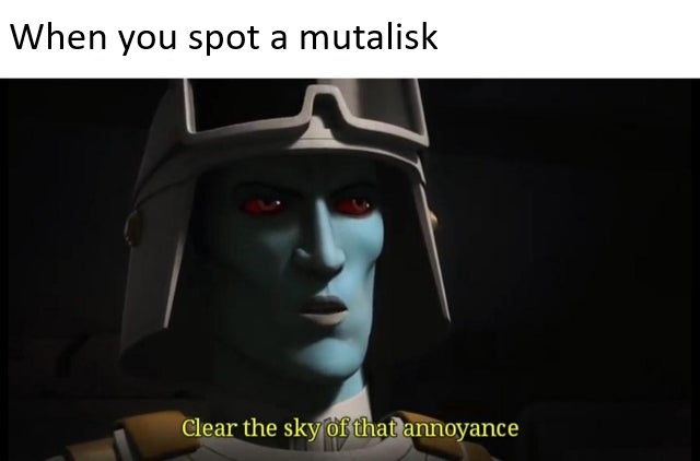 A stupid meme I slapped together | Scrolller