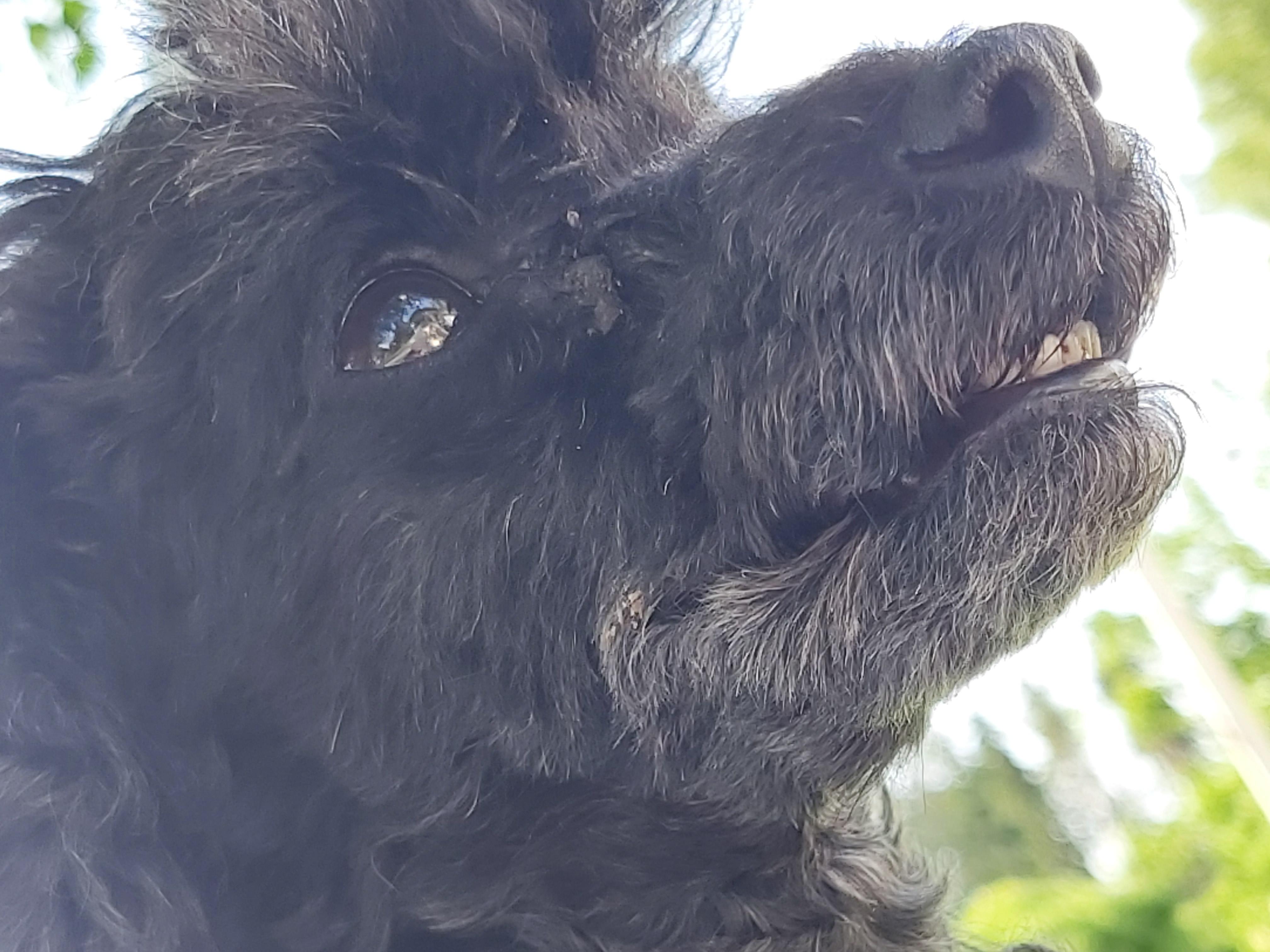 A summer gals toofers | Scrolller