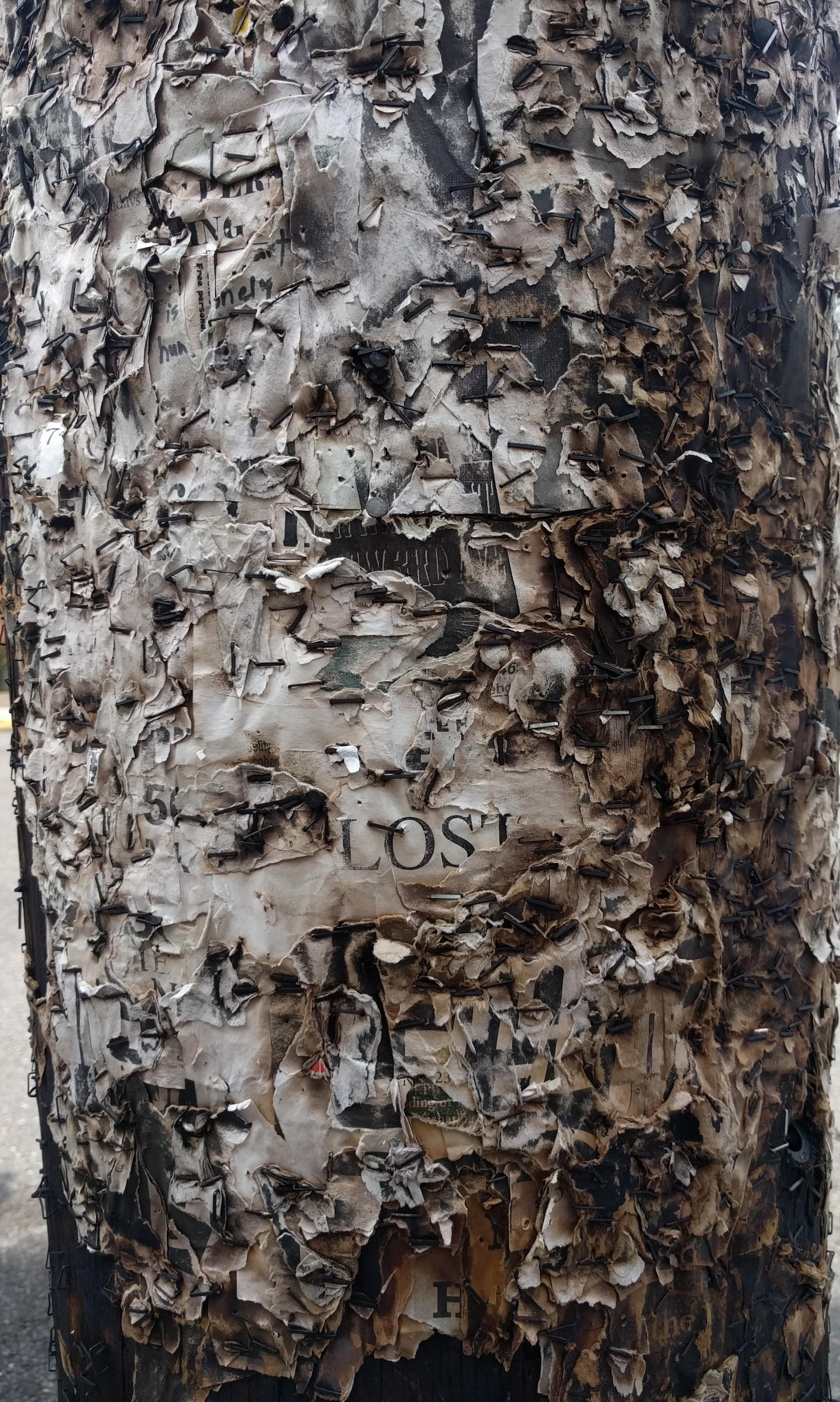 A surprisingly photogenic worn out telephone pole in Portland, Oregon | Scrolller