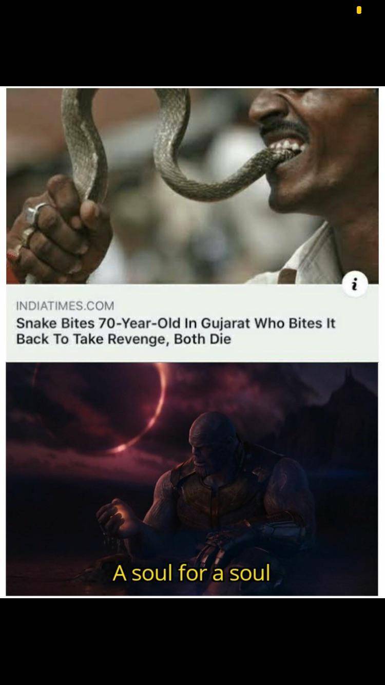 A true madlad | Scrolller