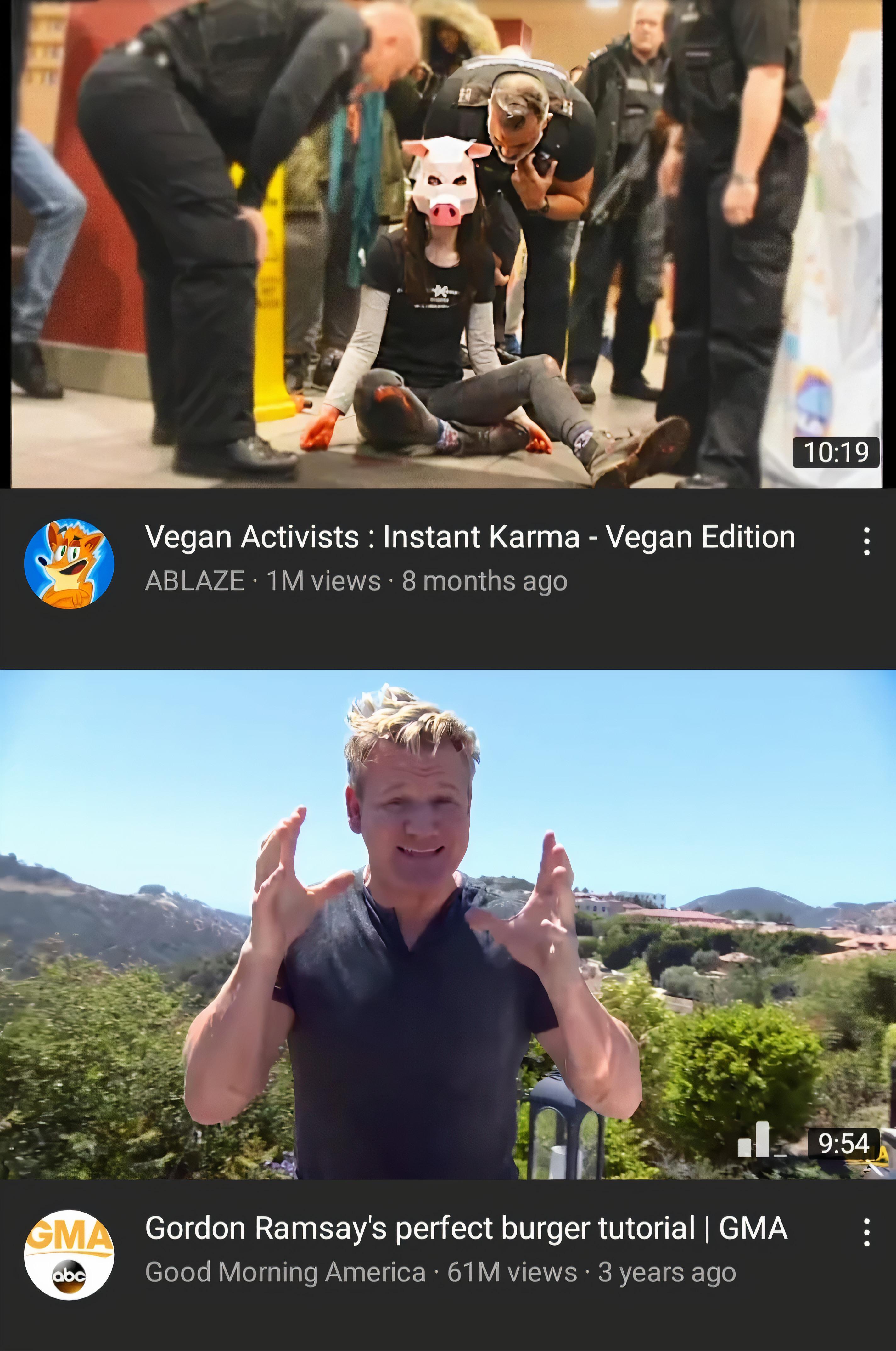 A whole world of vegans VS one Gordon Ramsay | Scrolller