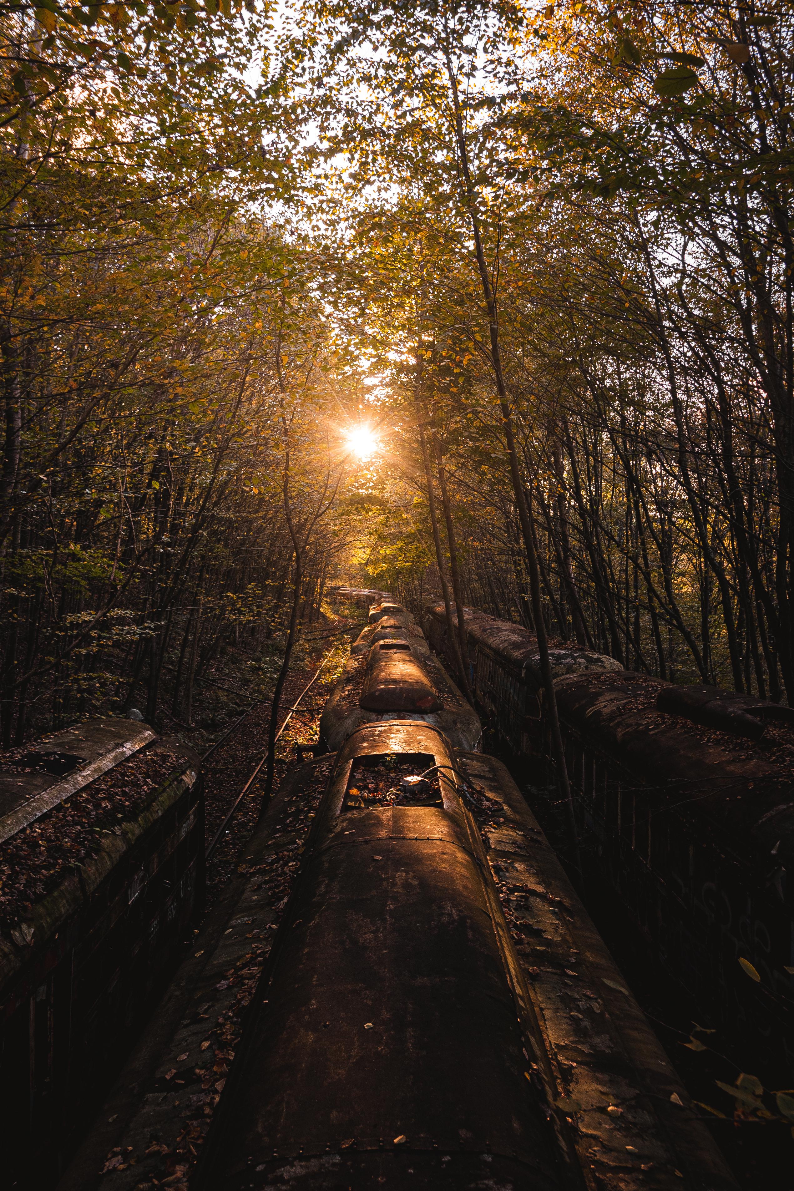 Abandoned rail cars | Scrolller