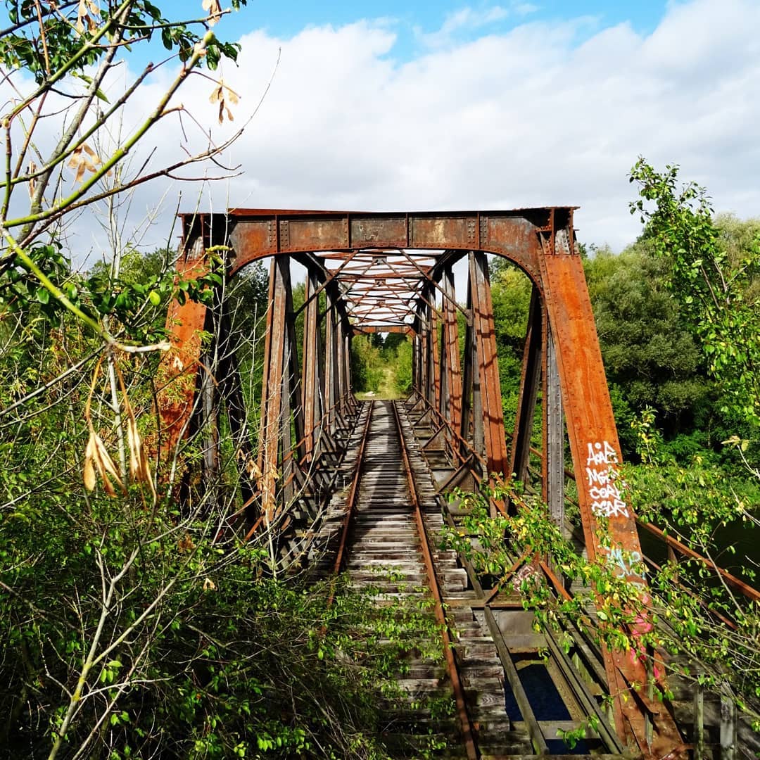 Abandoned Railroad bridge in Germany [OC] | Scrolller