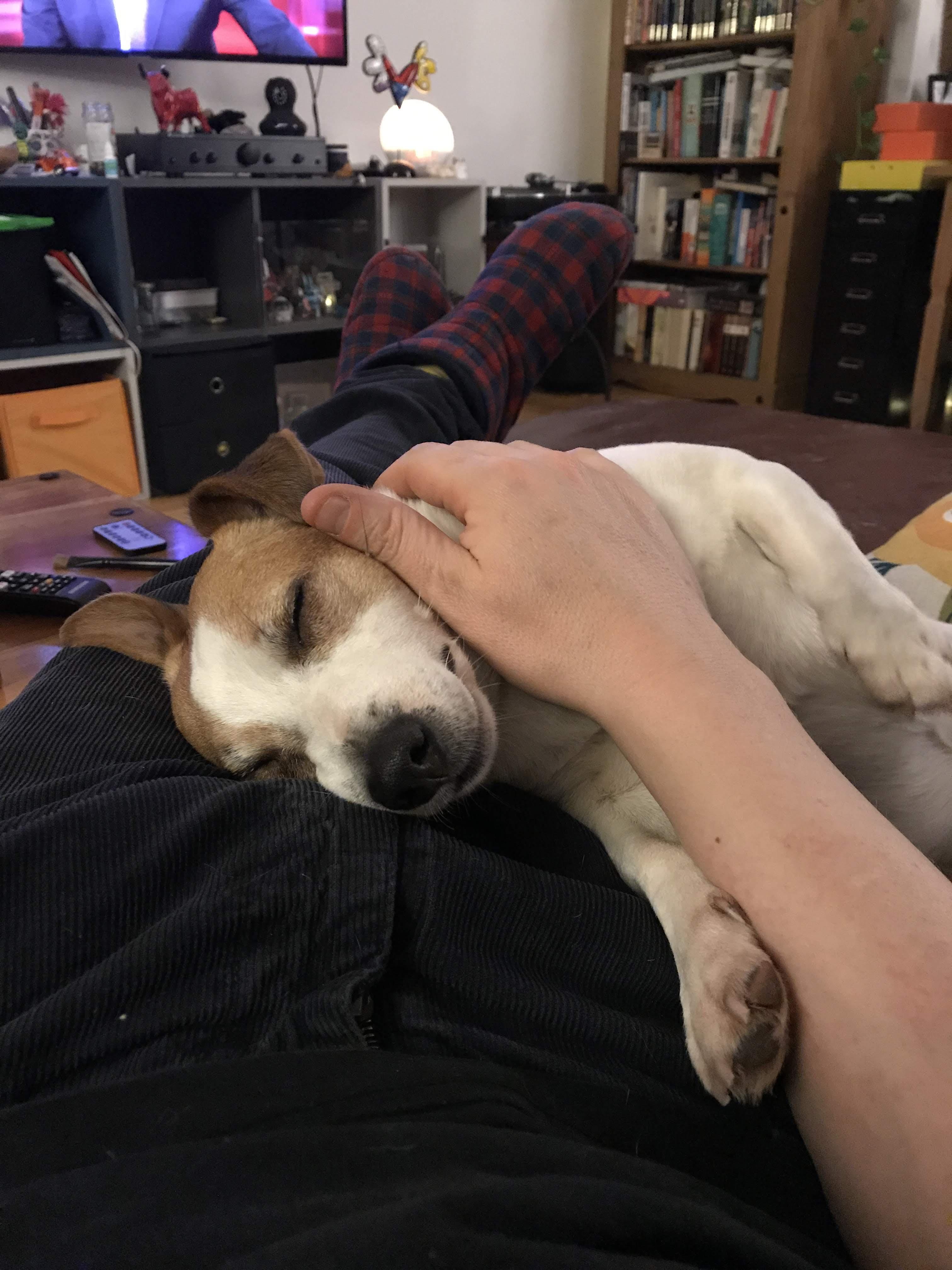 Absolute bliss. | Scrolller